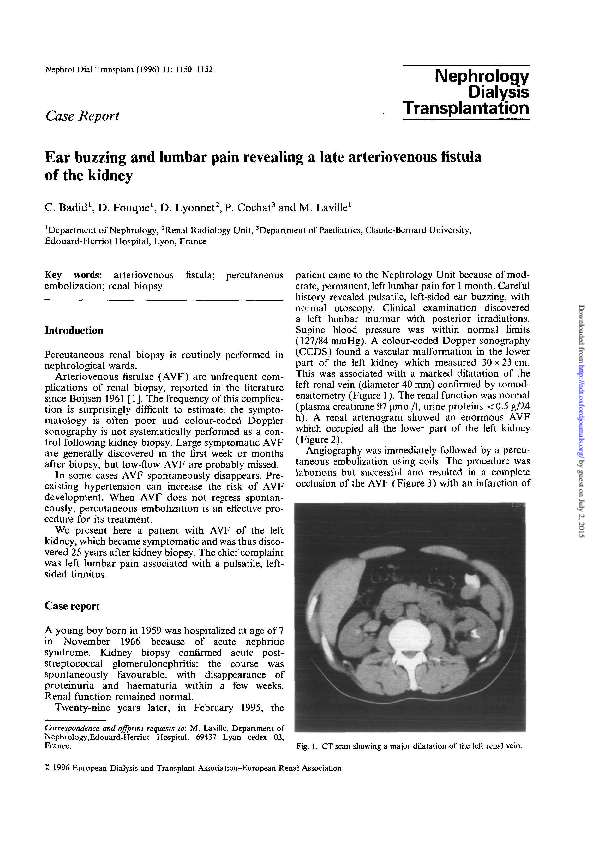 (PDF) Ear buzzing and lumbar pain revealing a late arteriovenous ...