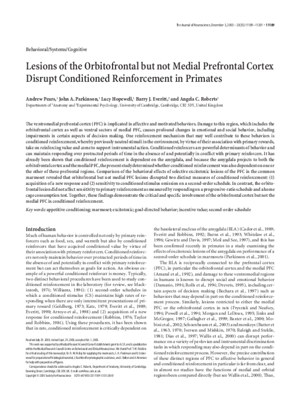 Pdf Lesions Of The Orbitofrontal But Not Medial Prefrontal Cortex Disrupt Conditioned
