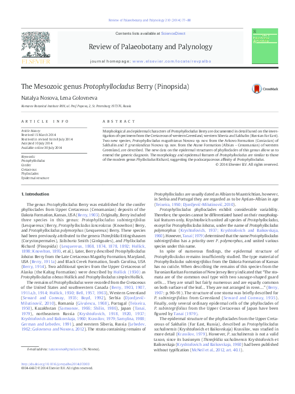 (PDF) The Mesozoic genus Protophyllocladus Berry (Pinopsida)