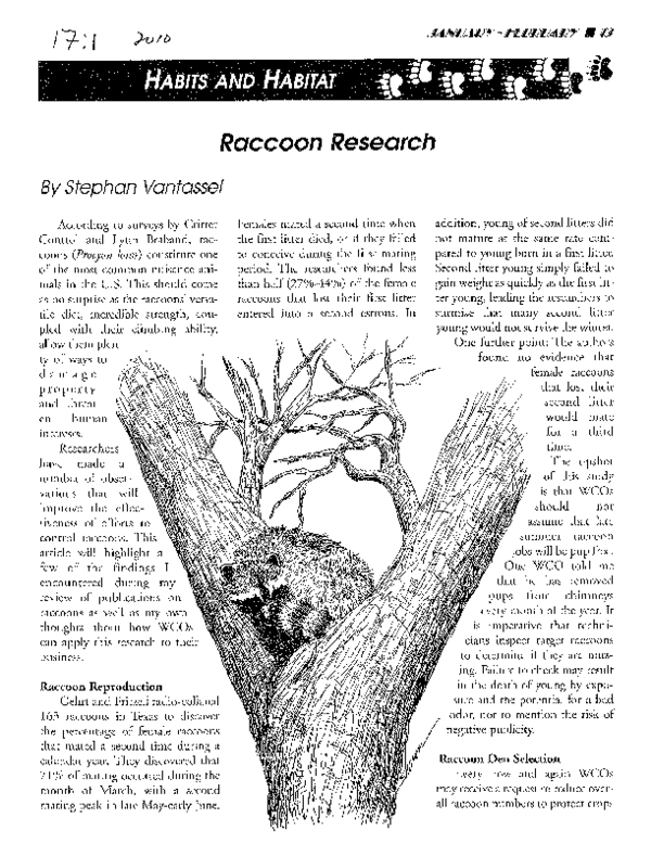 (PDF) Raccoon Research