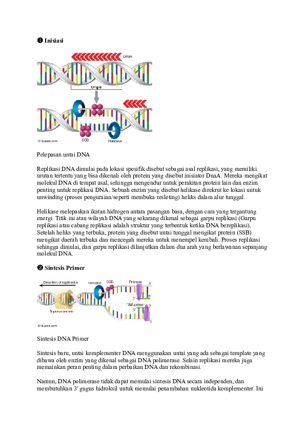 (DOC) Mekanisme replikasi DNA VIDEO NI'MAH HIDAYATUL LAILI . M. BIOMEDICAL
