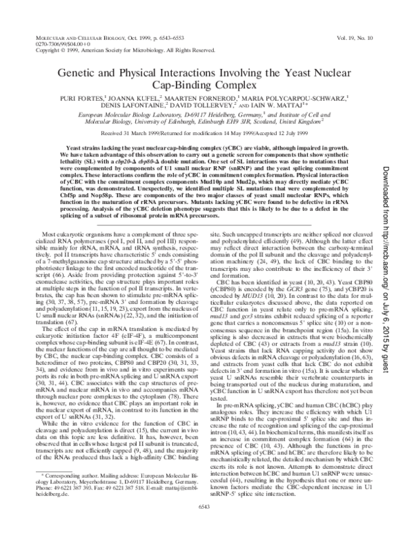 Pdf Genetic And Physical Interactions Involving The Yeast Nuclear Cap
