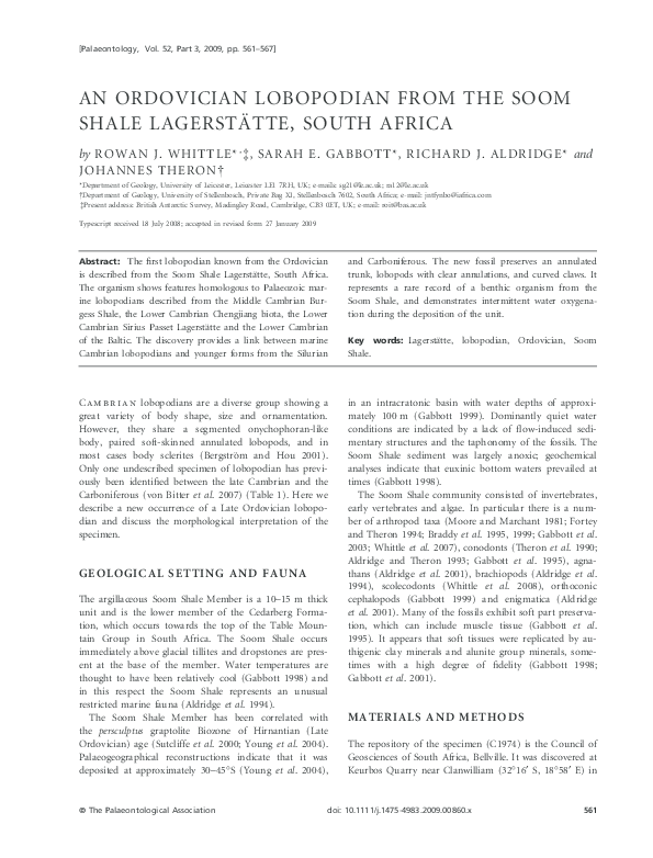 (PDF) AN ORDOVICIAN LOBOPODIAN FROM THE SOOM SHALE LAGERSTÄTTE, SOUTH ...