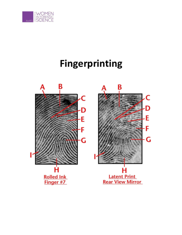 (PDF) Fingerprinting Handout