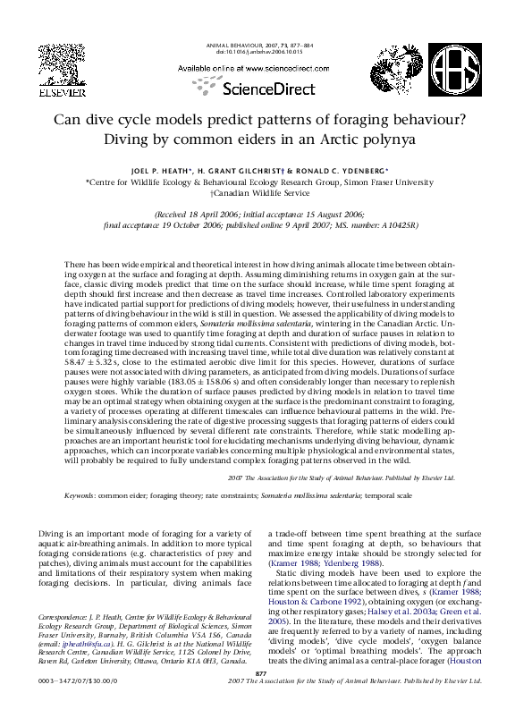 (PDF) Can dive cycle models predict patterns of foraging behaviour ...