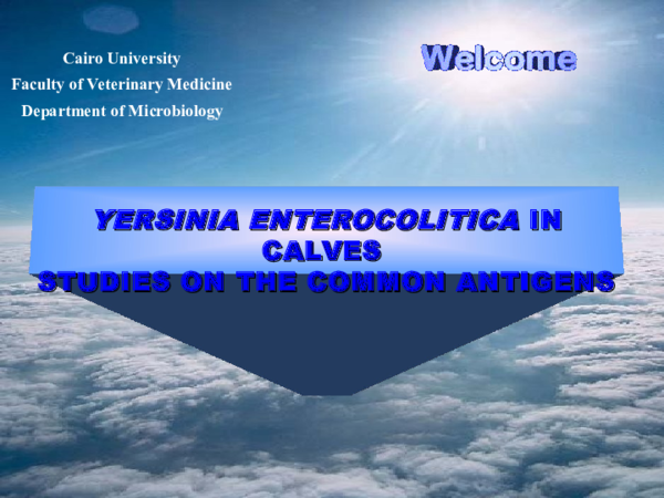 (PPT) YERSINIA ENTEROCOLITICA IN CALVES STUDIES ON THE COMMON ANTIGEN ppp