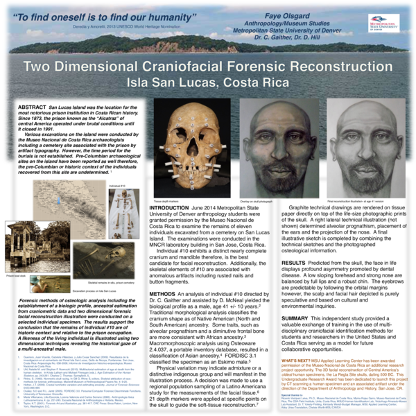 (PDF) Two Dimensional Craniofacial Forensic Reconstruction- Isla San ...