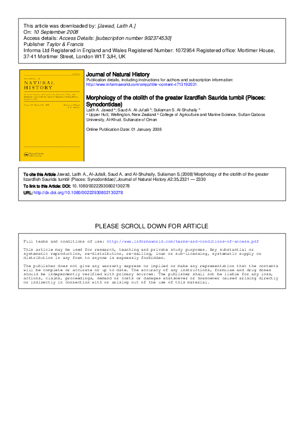 (PDF) Morphology of the otolith of the greater lizardfish Saurida ...