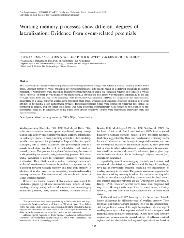 Pdf Working Memory Processes Show Different Degrees Of Lateralization