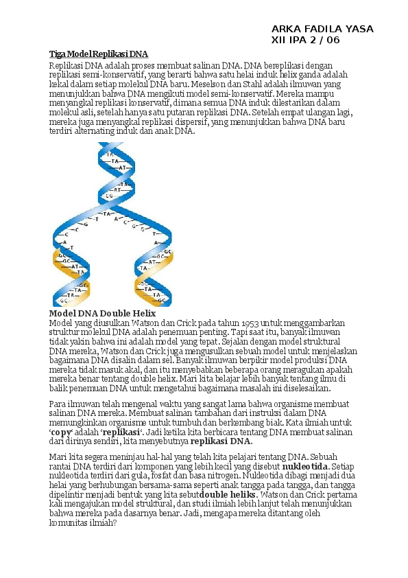 (DOC) Tiga Model Replikasi DNA