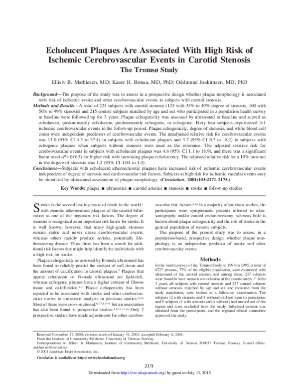 (PDF) Echolucent Plaques Are Associated With High Risk of Ischemic ...