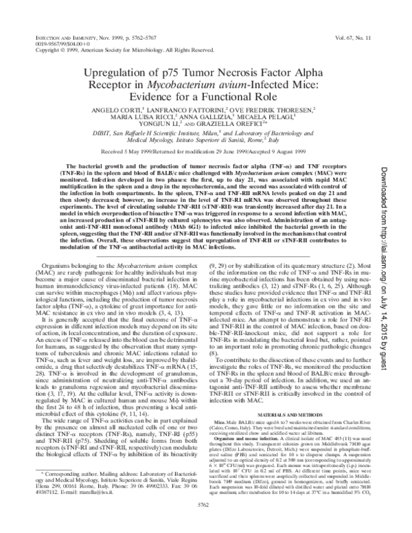 (PDF) Upregulation of p75 Tumor Necrosis Factor Alpha Receptor in ...