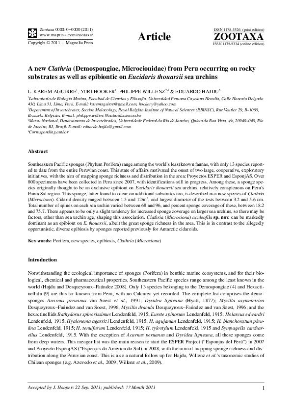 (PDF) A new Clathria (Demospongiae, Microcionidae) from Peru occurring ...