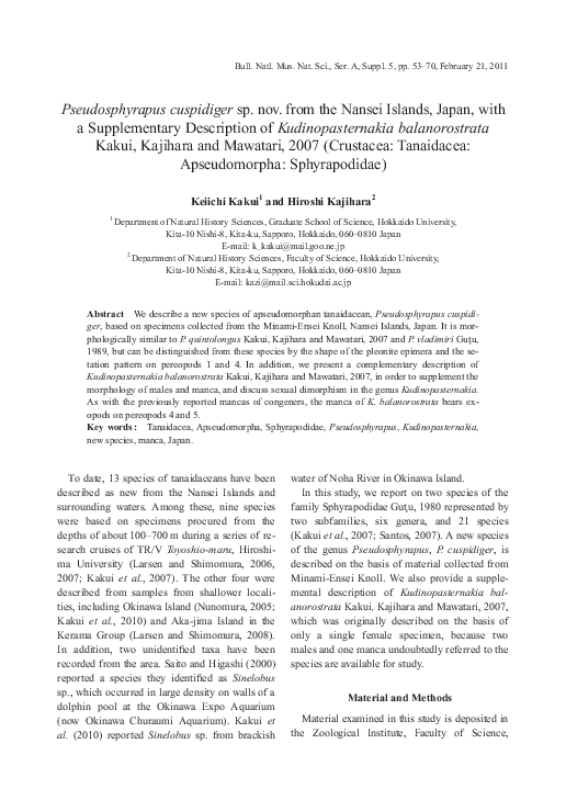 (PDF) Pseudosphyrapus cuspidiger sp. nov. from the Nansei Islands ...