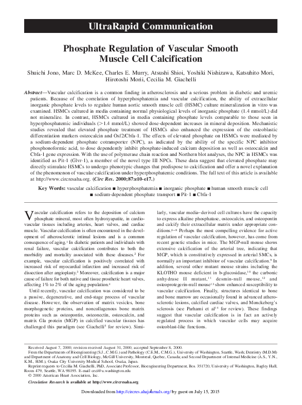(PDF) Phosphate Regulation of Vascular Smooth Muscle Cell Calcification