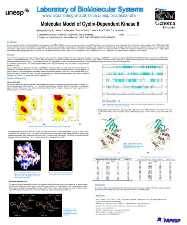 (PDF) Molecular Molecular Model Model of of Cyclin Cyclin- Dependent