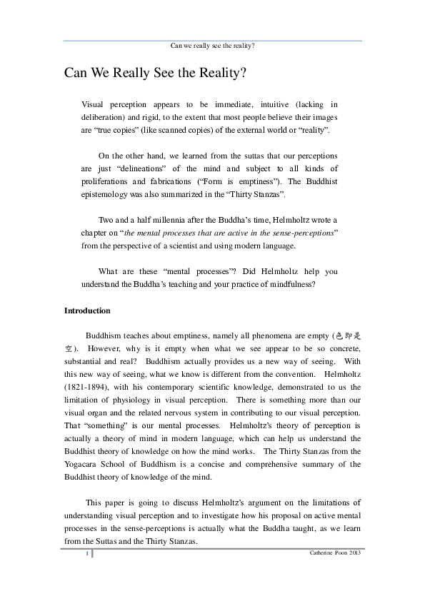 (PDF) Can we really see the reality?