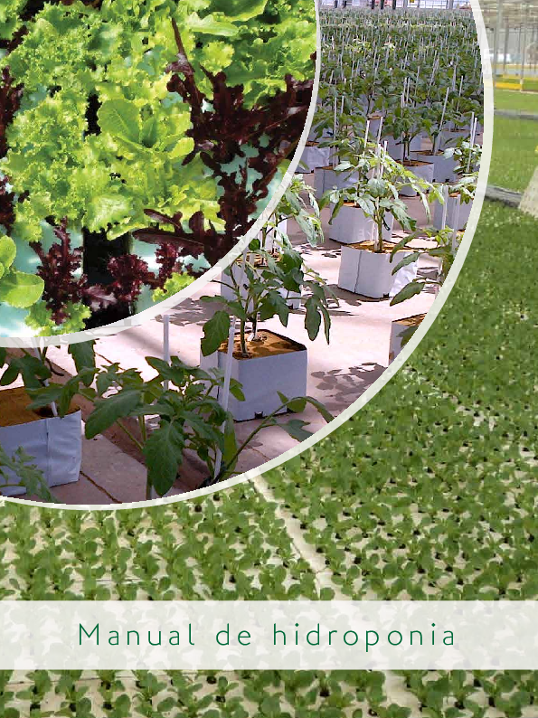 (PDF) Manual-hidroponia