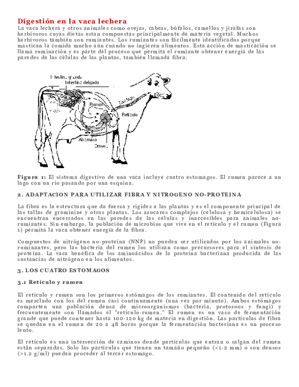 (DOC) Digestión en la vaca lechera