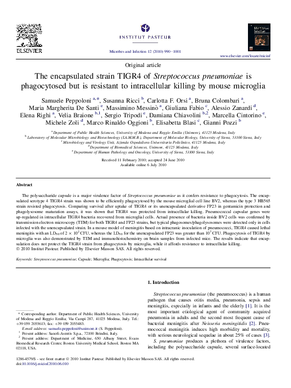 (PDF) The encapsulated strain TIGR4 of Streptococcus pneumoniae is ...