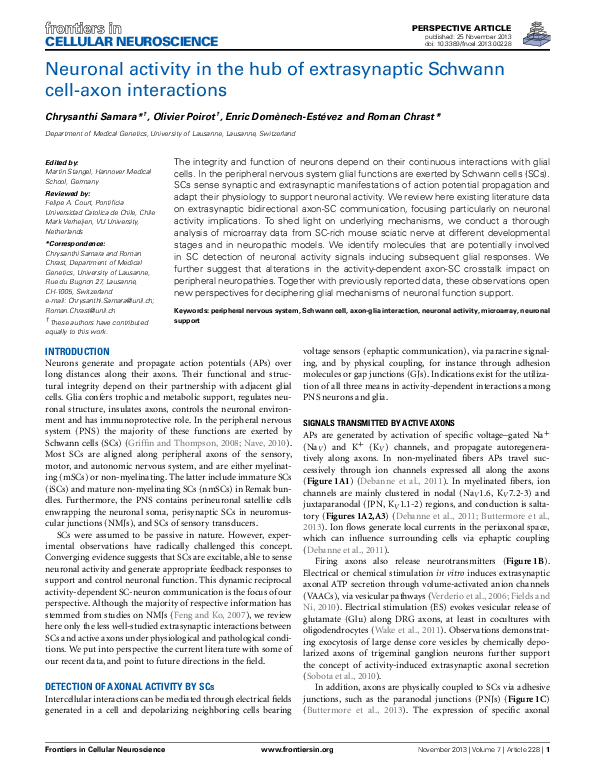 (PDF) Neuronal activity in the hub of extrasynaptic Schwann cell-axon interactions