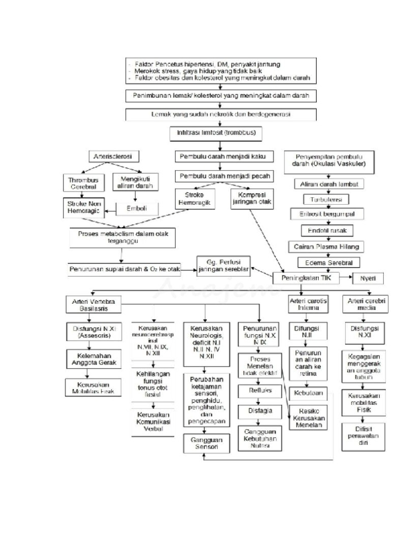 (DOC) Pathway stroke