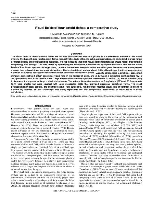 (PDF) Visual fields of four batoid fishes: a comparative study