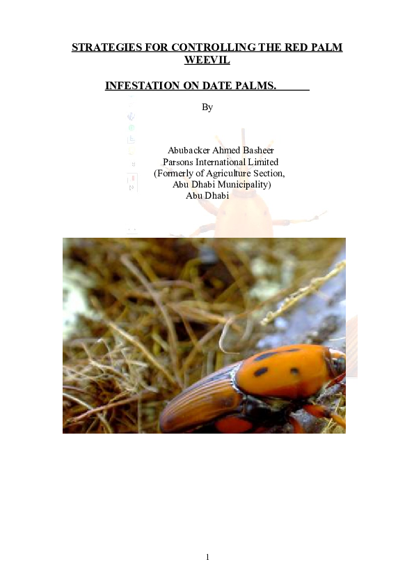 (DOC) Strategies for the control of Red Palm Weevil infestation in Date ...