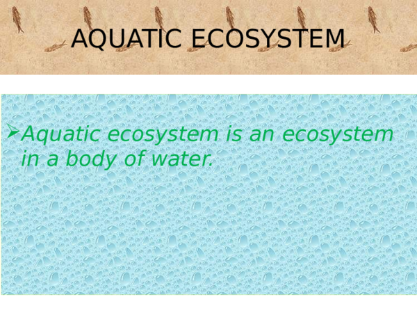 (PPT) AQUATIC ECOSYSTEM