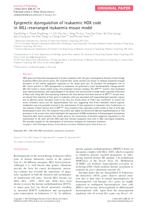 (PDF) Epigenetic dysregulation of leukaemic HOX code in MLL -rearranged ...