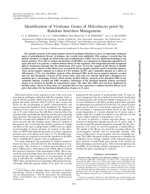 Pdf Identification Of Virulence Genes Of Helicobacter Pylori By
