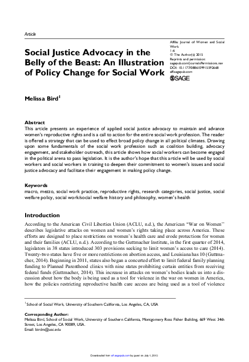 (PDF) Social justice advocacy in the belly of the beast: An ...