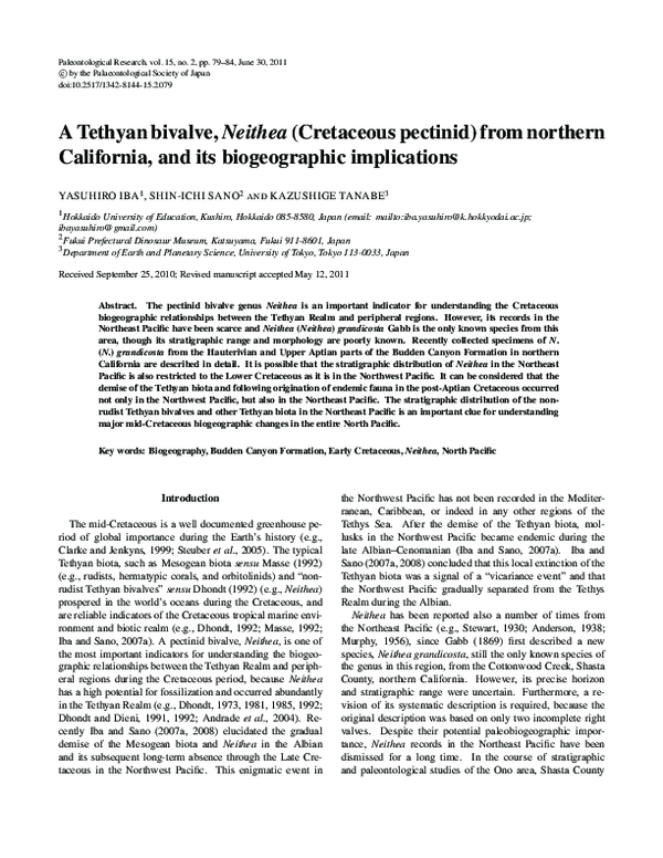 (PDF) A Tethyan bivalve, Neithea (Cretaceous pectinid) from northern ...