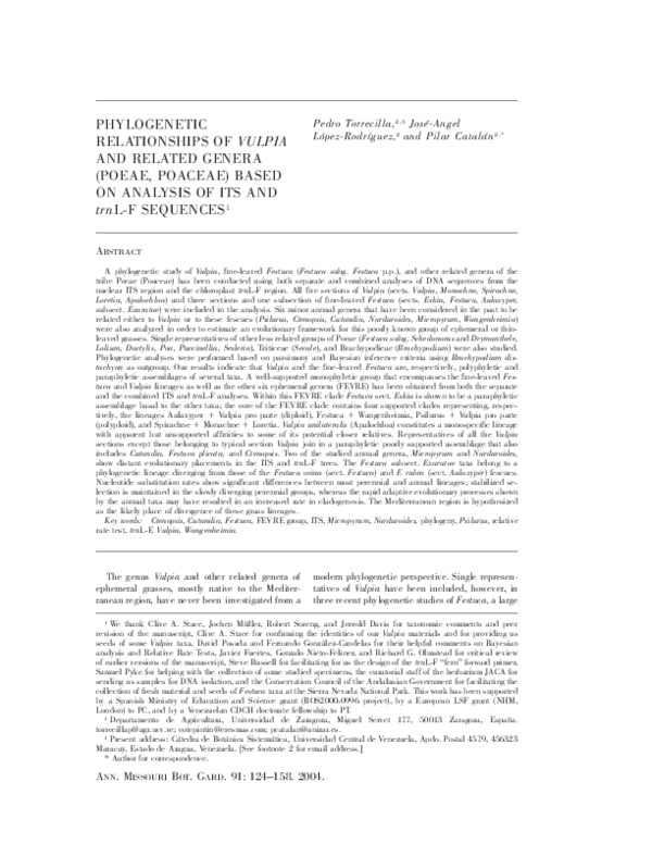 (PDF) PHYLOGENETIC RELATIONSHIPS OF VULPIA AND RELATED GENERA (POEAE ...