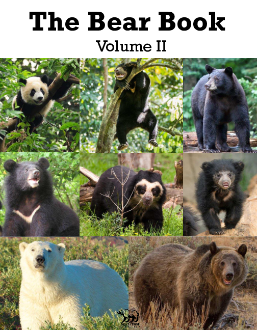 (PDF) The Bear Book