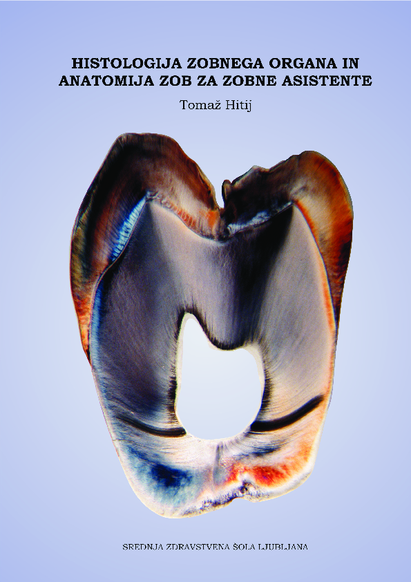 (PDF) Histologija zobnega organa in anatomija zob (Histology of dental ...