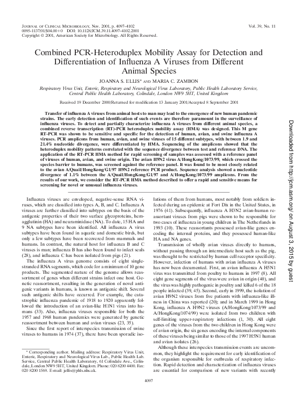 (PDF) Combined PCR-Heteroduplex Mobility Assay for Detection and ...