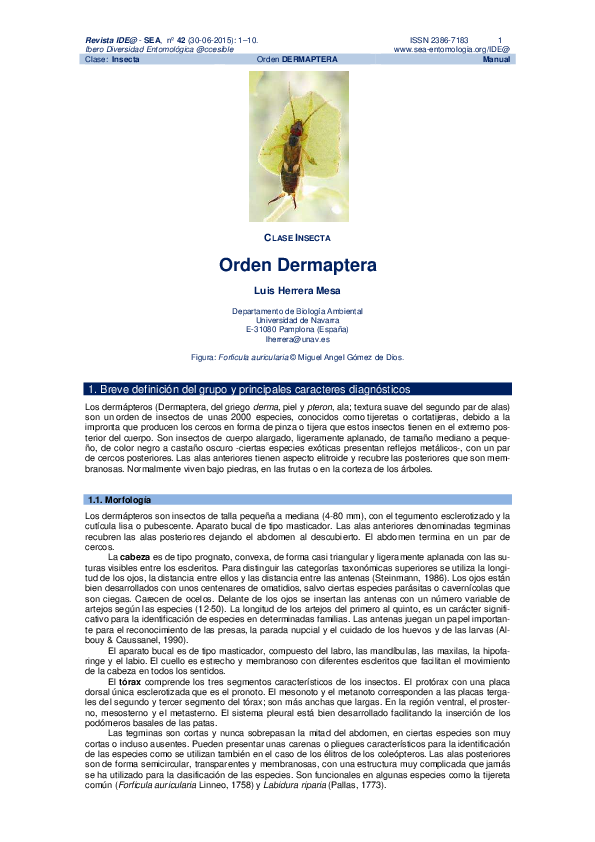 (PDF) Insectos dermápteros de la Península Ibérica y de la Macaronesia