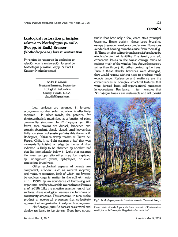 (PDF) Ecological restoration principles relative to Nothofagus pumilio ...