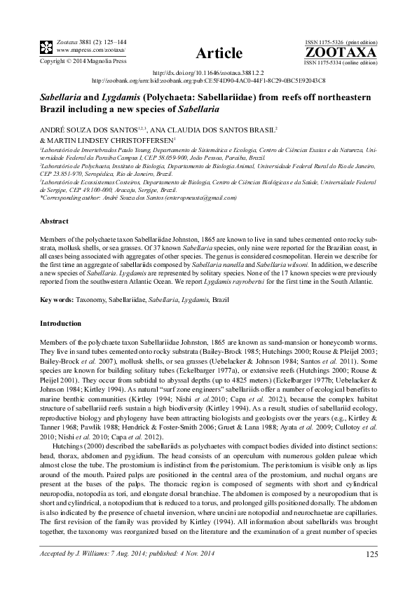 (PDF) Sabellaria and Lygdamis (Polychaeta: Sabellariidae) from reefs ...