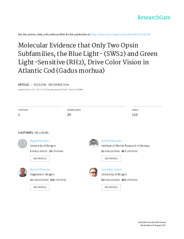 (PDF) Molecular Evidence that Only Two Opsin Subfamilies, the Blue ...