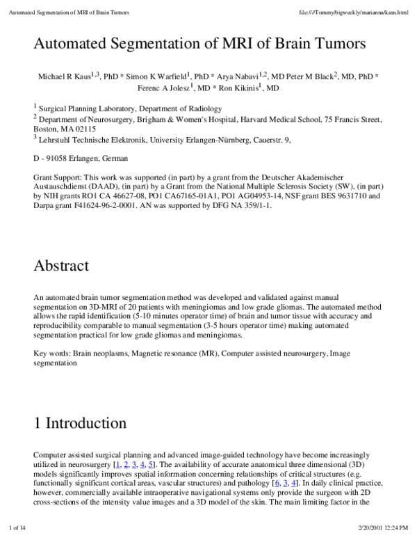 (PDF) Automated Segmentation of MRI of Brain Tumors