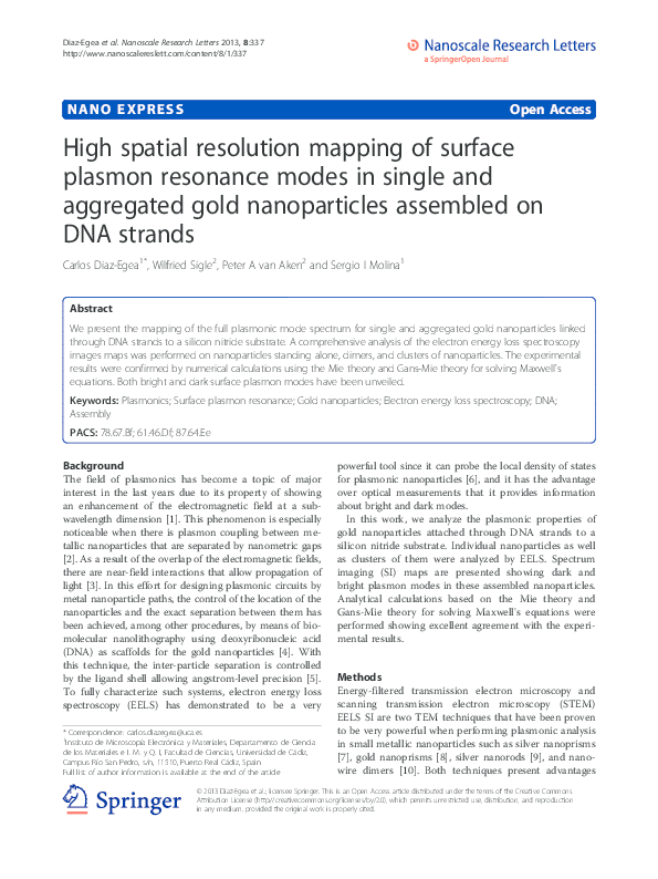 High Spatial Resolution Mapping Of Surface Plasmon Resonance Modes In