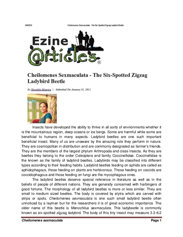(PDF) Cheilomenes Sexmaculata - The Six-Spotted Zigzag Ladybird Beetle