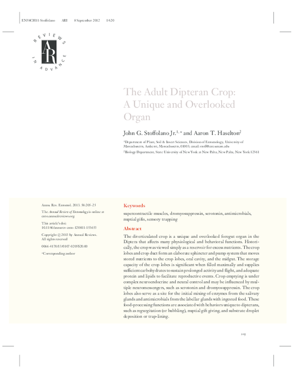 (PDF) The Adult Dipteran Crop: A Unique and Overlooked Organ