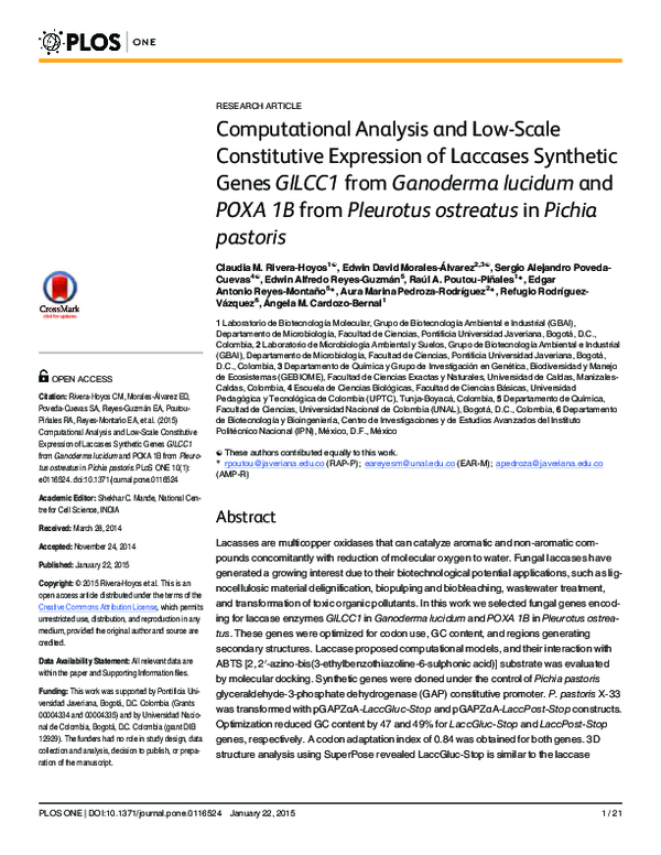 (PDF) Computational Analysis and Low-Scale Constitutive Expression of Laccases Synthetic Genes ...