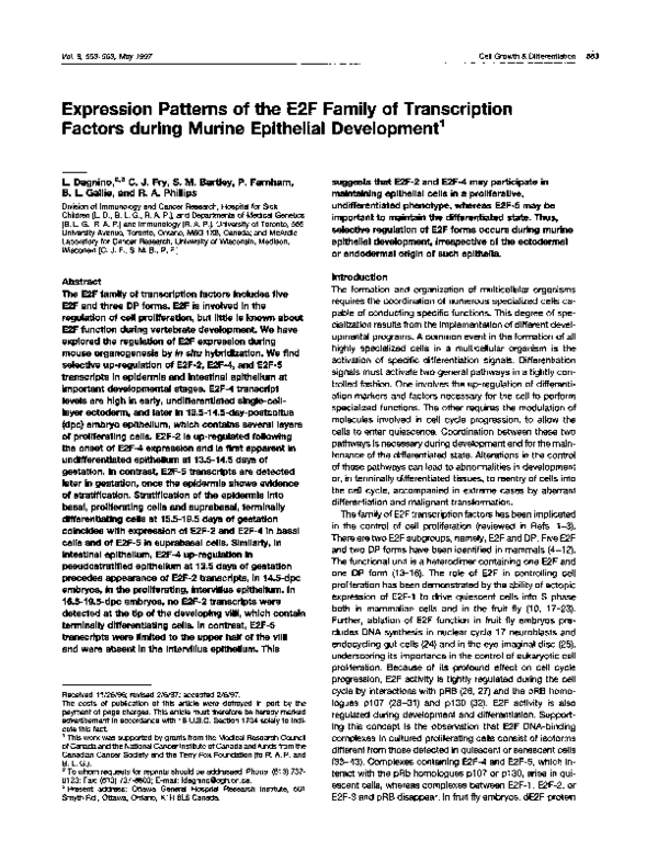 (PDF) Expression Patterns of the E2F Family of Transcription Factors ...