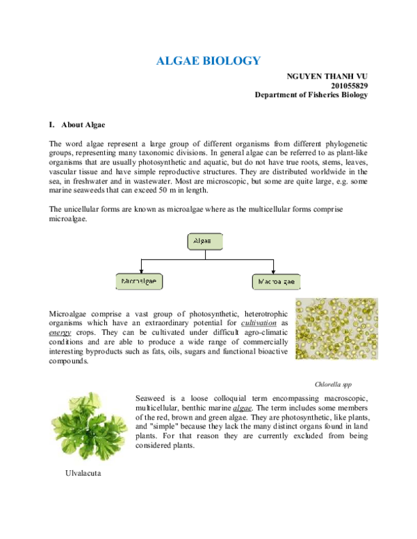 (DOC) ALGAE BIOLOGY