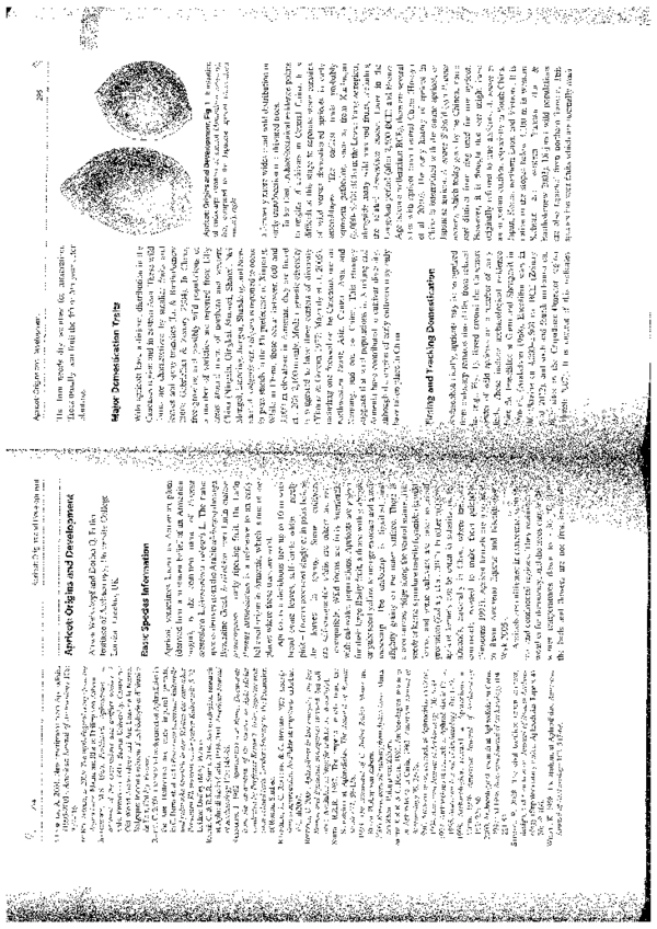 (PDF) Apricots (Prunus armeniaca, L. Armeniaca vulgaris L): Origins and ...