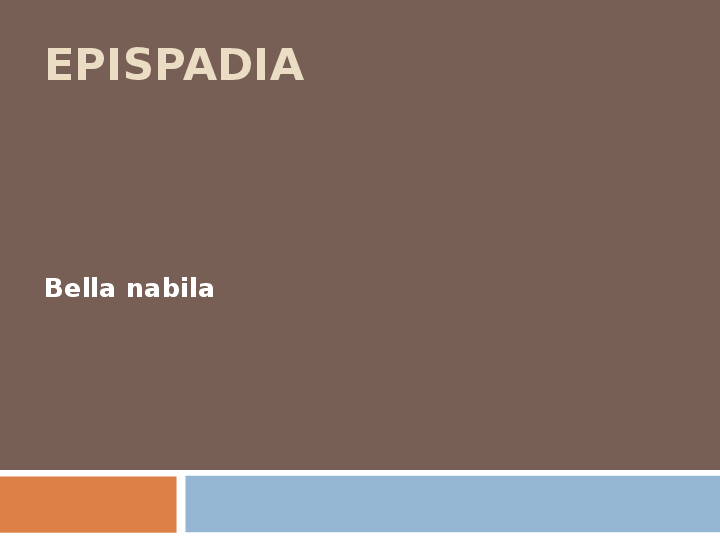 (PPT) Epispadia